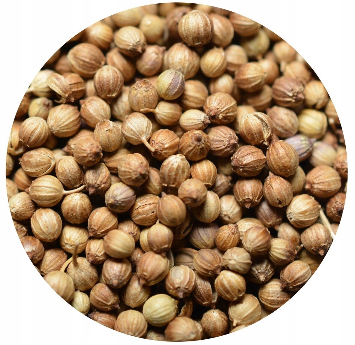 KOLENDRA ZIARNO 1000g naturalna przyprawa (5902898320282) • Cena ...