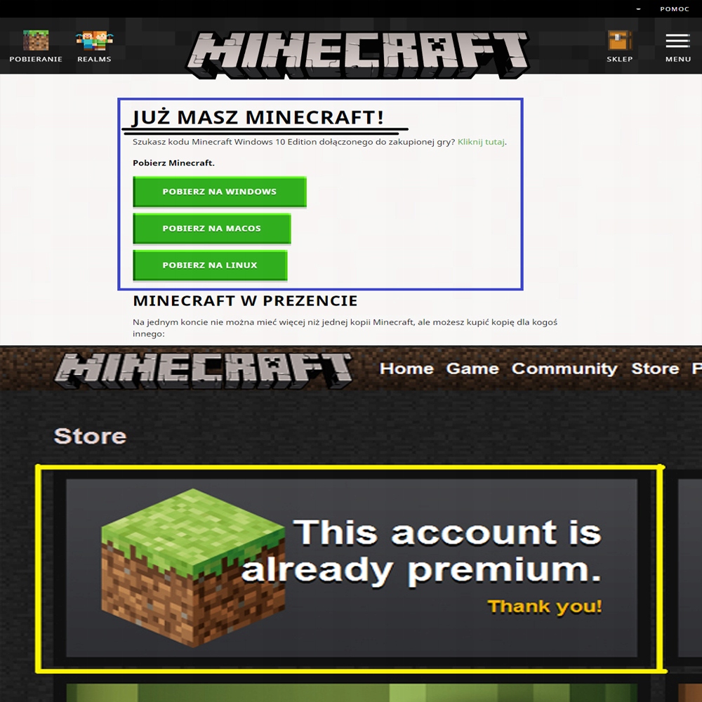 MINECRAFT PREMIUM GIFT-CODE ZMIANA DANYCH PSC 24/7 - 6961872584 ...