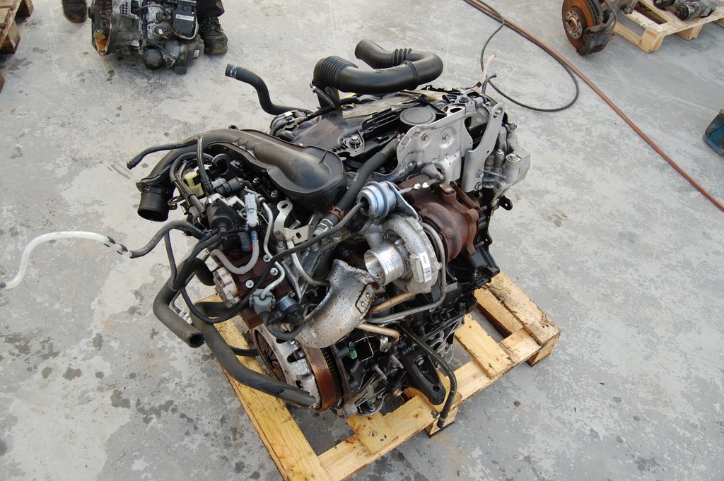 KOMPLETNY Silnik 2.0 DCi Trafic M9R 782 115km Igła - 7273102513 ...