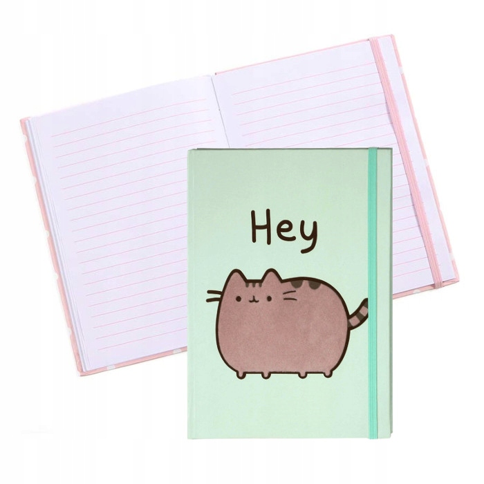 KOT PUSHEEN notes zeszyt 80kartek GUND ORYGINAŁ - 7304591677 ...